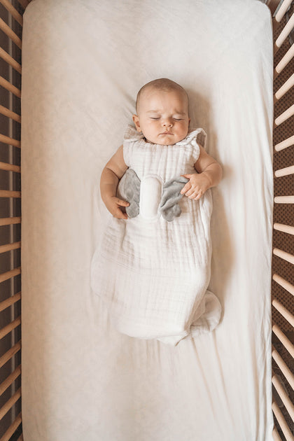 Products – Snuggy Buddy Baby